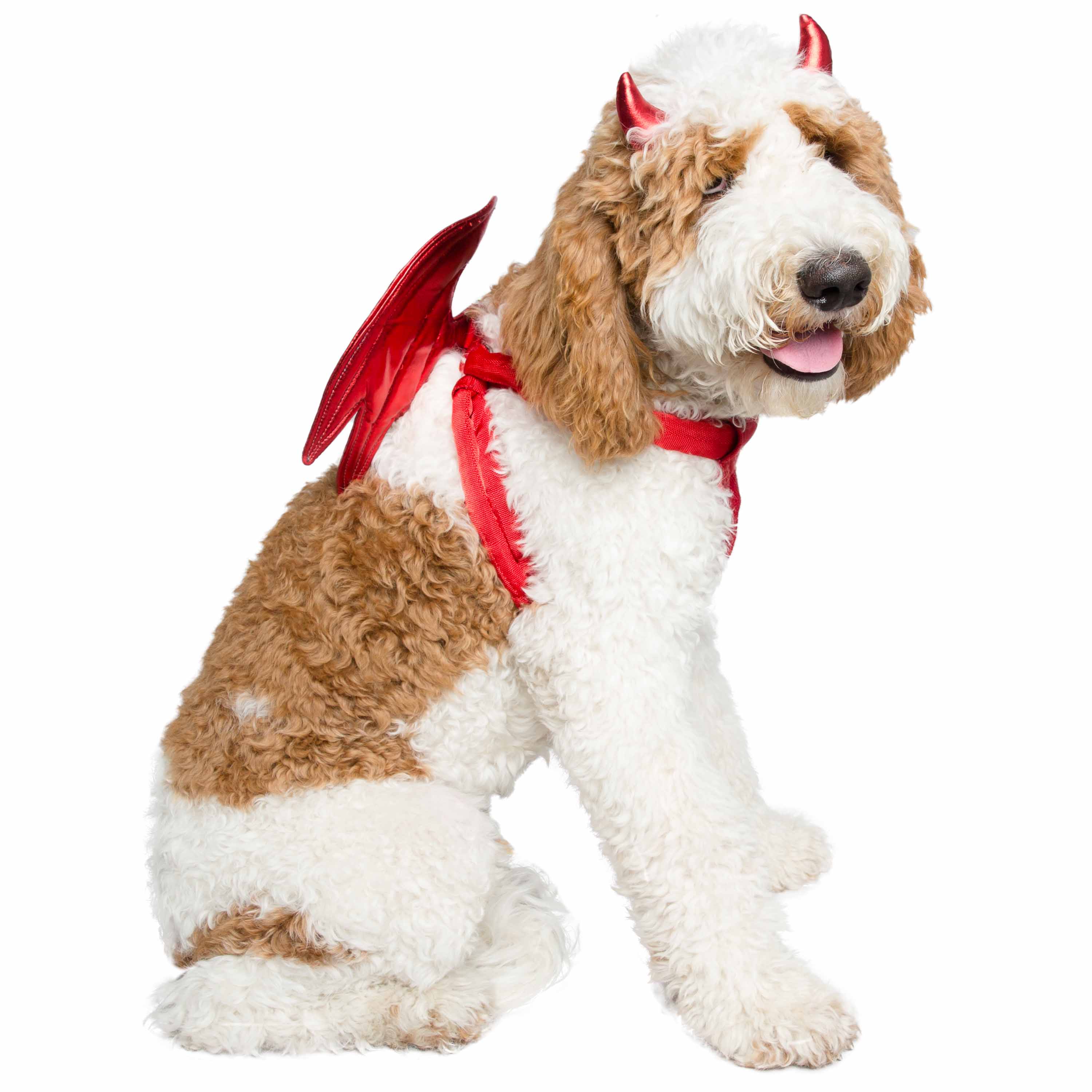 Booo-tique – 3 Red Rovers