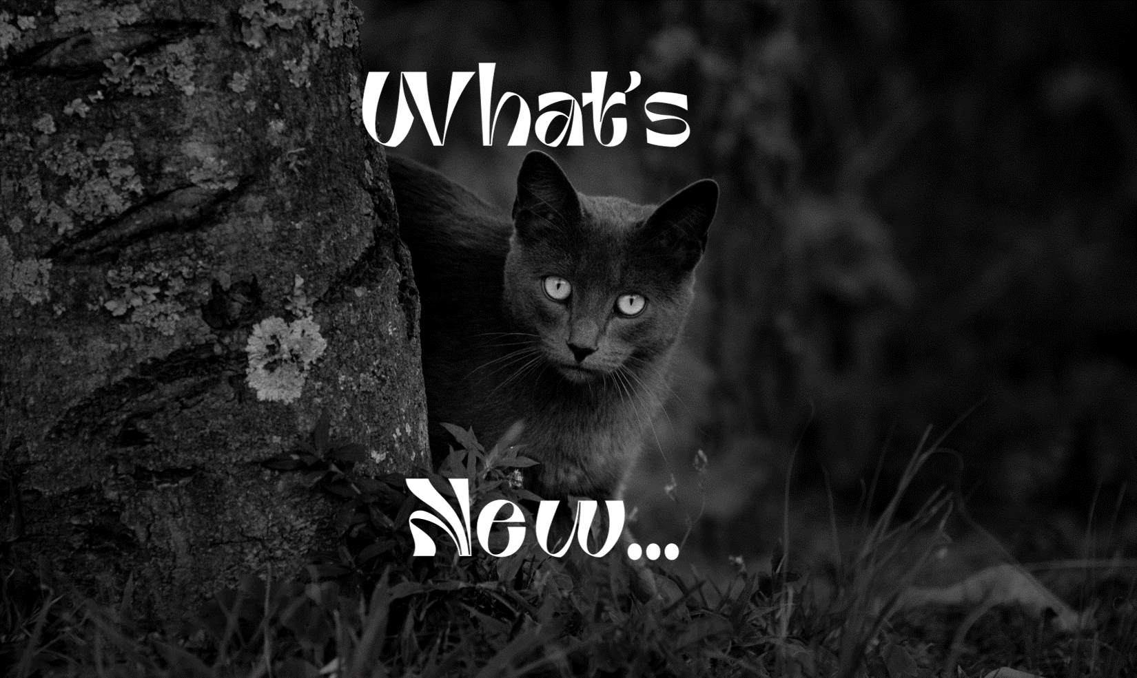 New – 3 Red Rovers