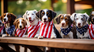 3 Red Rovers: Dog and Cat Apparel, Bandanas and Sports Jerseys